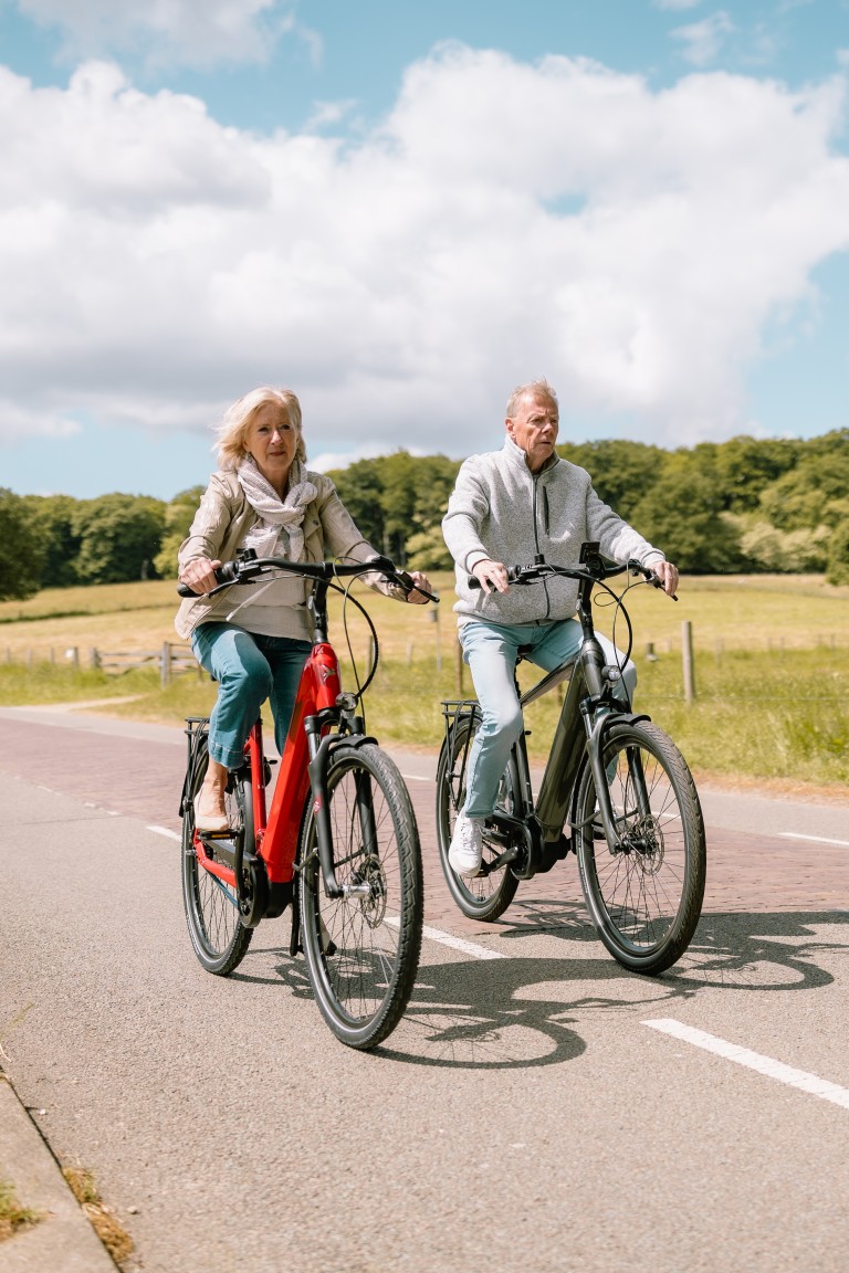 Dokman Tweewielers Culemborg | Pegasus bikes