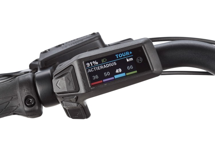 Siena E7f Pegasus Bikes