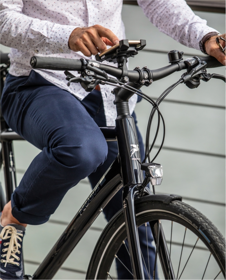 Floris Fietsen Fiets & E-Bike specialist | Pegasus bikes