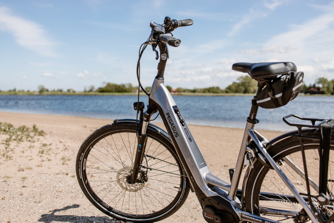 Elektrische fiets met lage instap: veilig op weg | Pegasus | Pegasus bikes