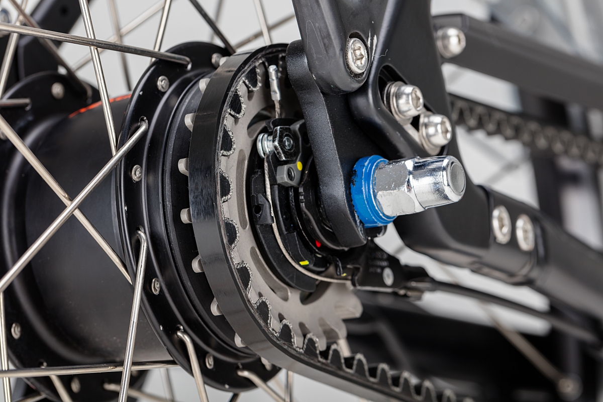 Dames elektrische fietsen met riemaandrijving | Pegasus | Pegasus bikes