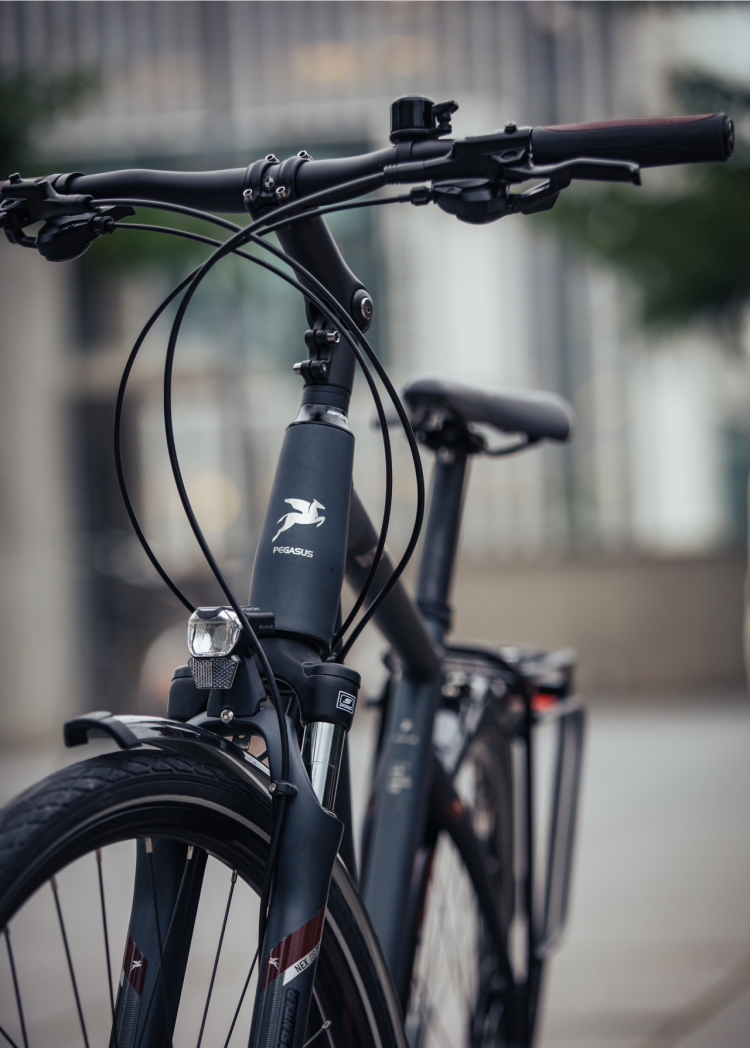 De beste kwaliteit fietsen & e-bikes | Pegasus bikes