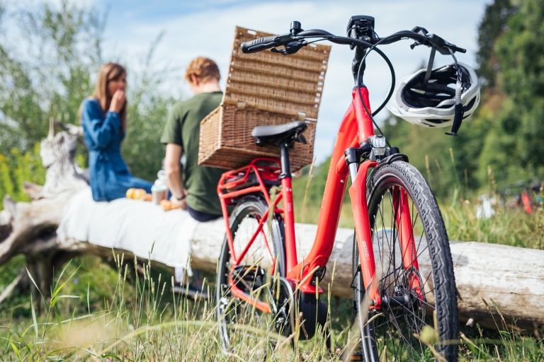 Stuurwold Fietsspecialisten in Roden | Pegasus Dealer | Pegasus bikes