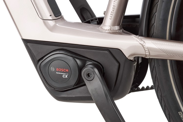 RAVENNA EVO NV Belt | Pegasus bikes