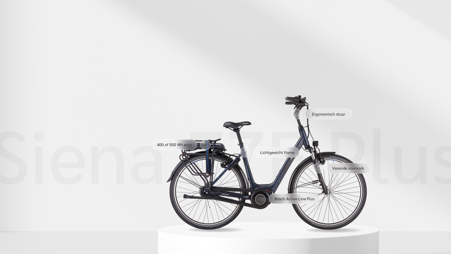 De beste kwaliteit fietsen & e-bikes | Pegasus bikes