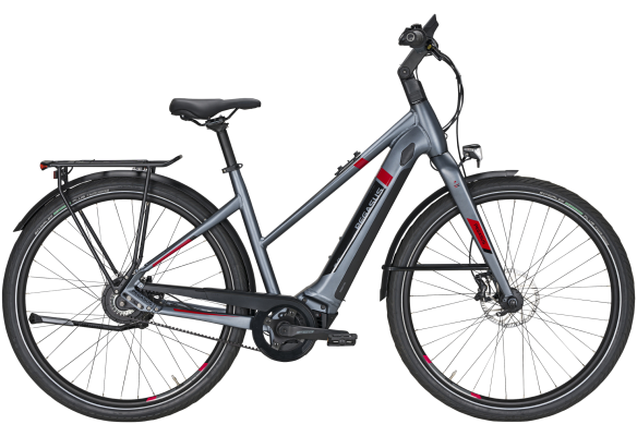 Elektrische fietsen van hoogwaardige kwaliteit | Pegasus