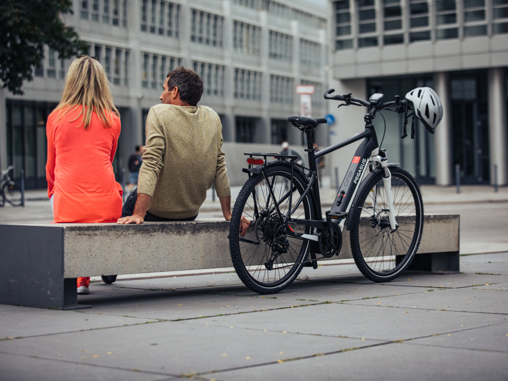 Elektrische fietsen van hoogwaardige kwaliteit | Pegasus