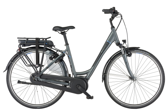 Elektrische fietsen van hoogwaardige kwaliteit | Pegasus