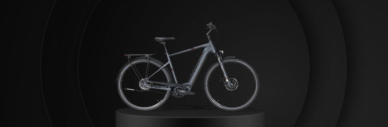 Kwaliteitsfietsen voor een scherpe prijs | Pegasus