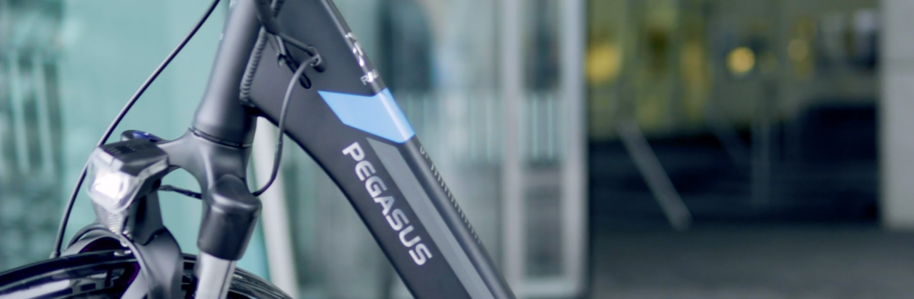 Kwaliteitsfietsen voor een scherpe prijs | Pegasus