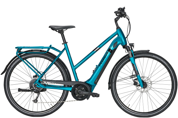 Elektrische fietsen van hoogwaardige kwaliteit | Pegasus
